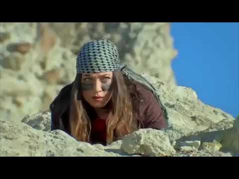 Sunqurlar şahin özəl sahnə