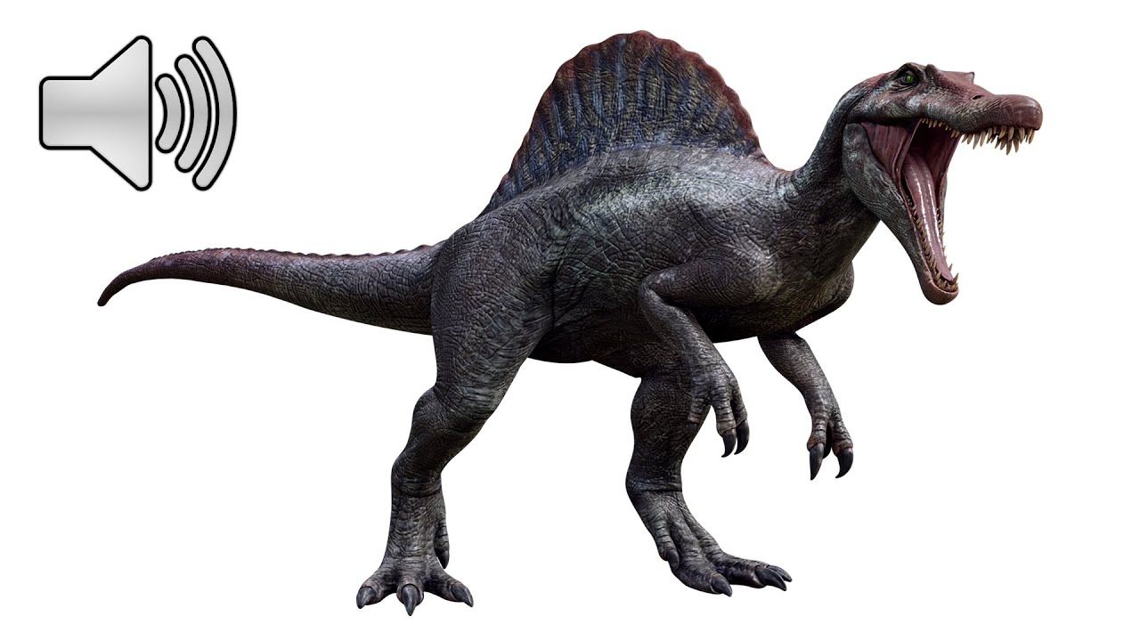 Spinosaurus Sound Effects - YouTube