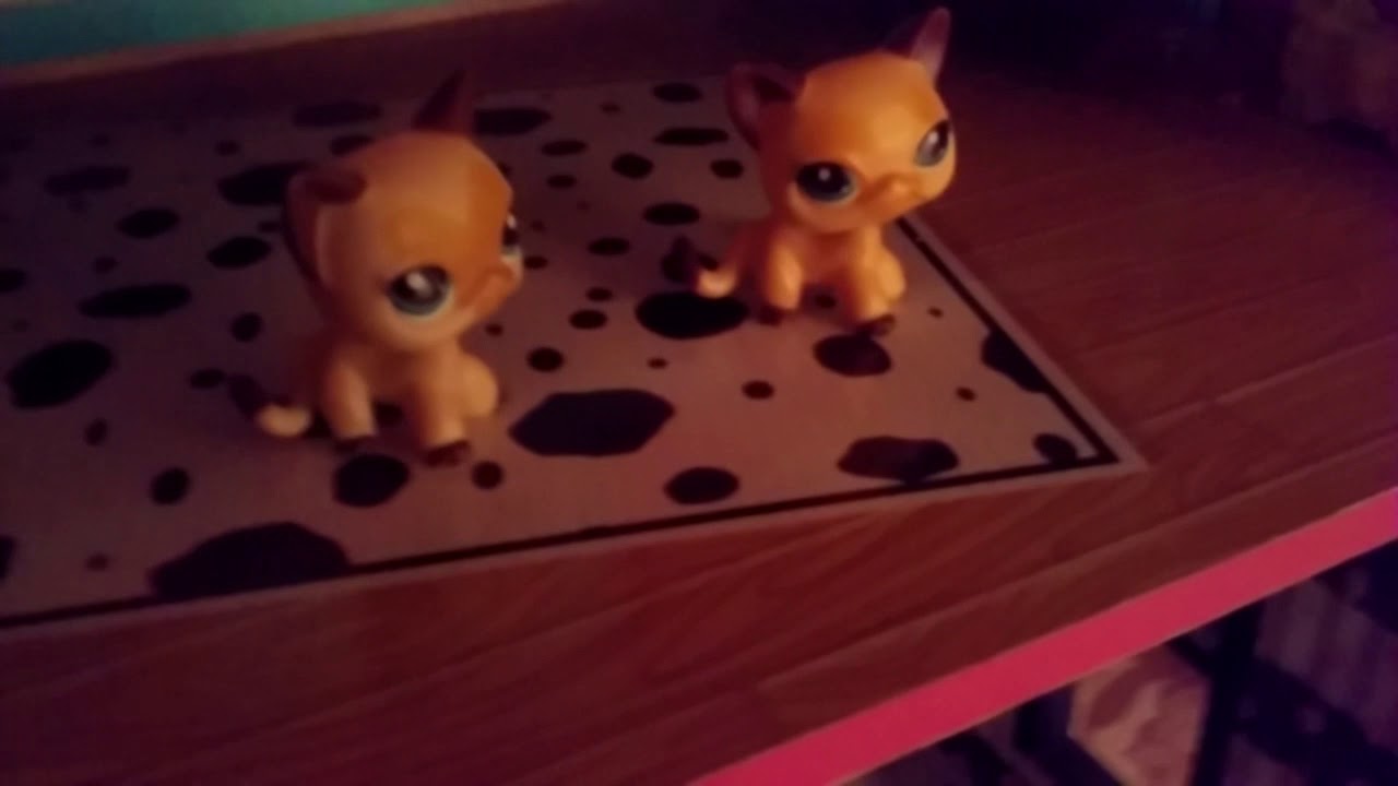 Lps twins are going to a trip - YouTube