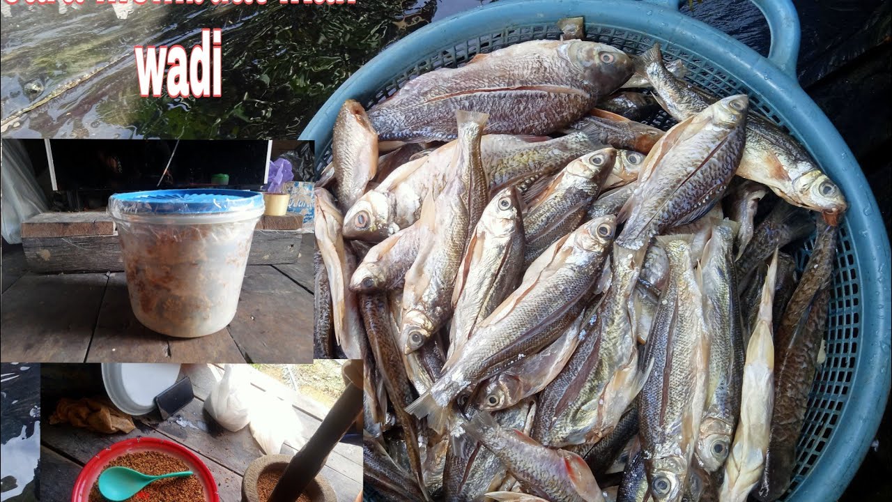 Proses pambuatan ikan wadi.. - YouTube