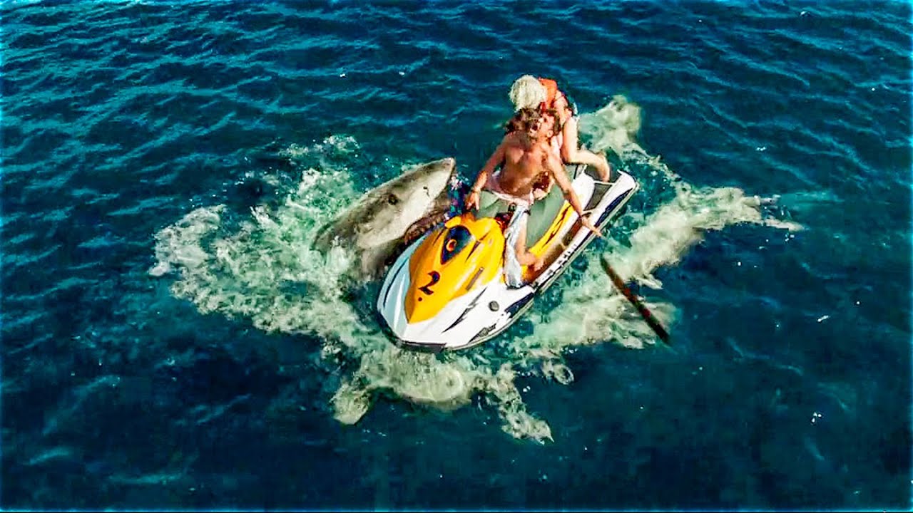 The Jet Ski Broke Down At Sea After an Accident, And They Spent 2 Days ...