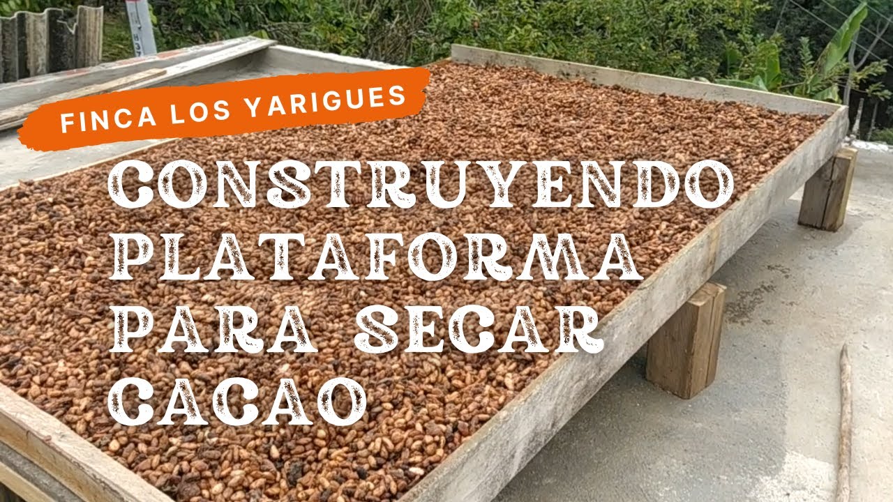 Plataforma para secar Cacao - YouTube