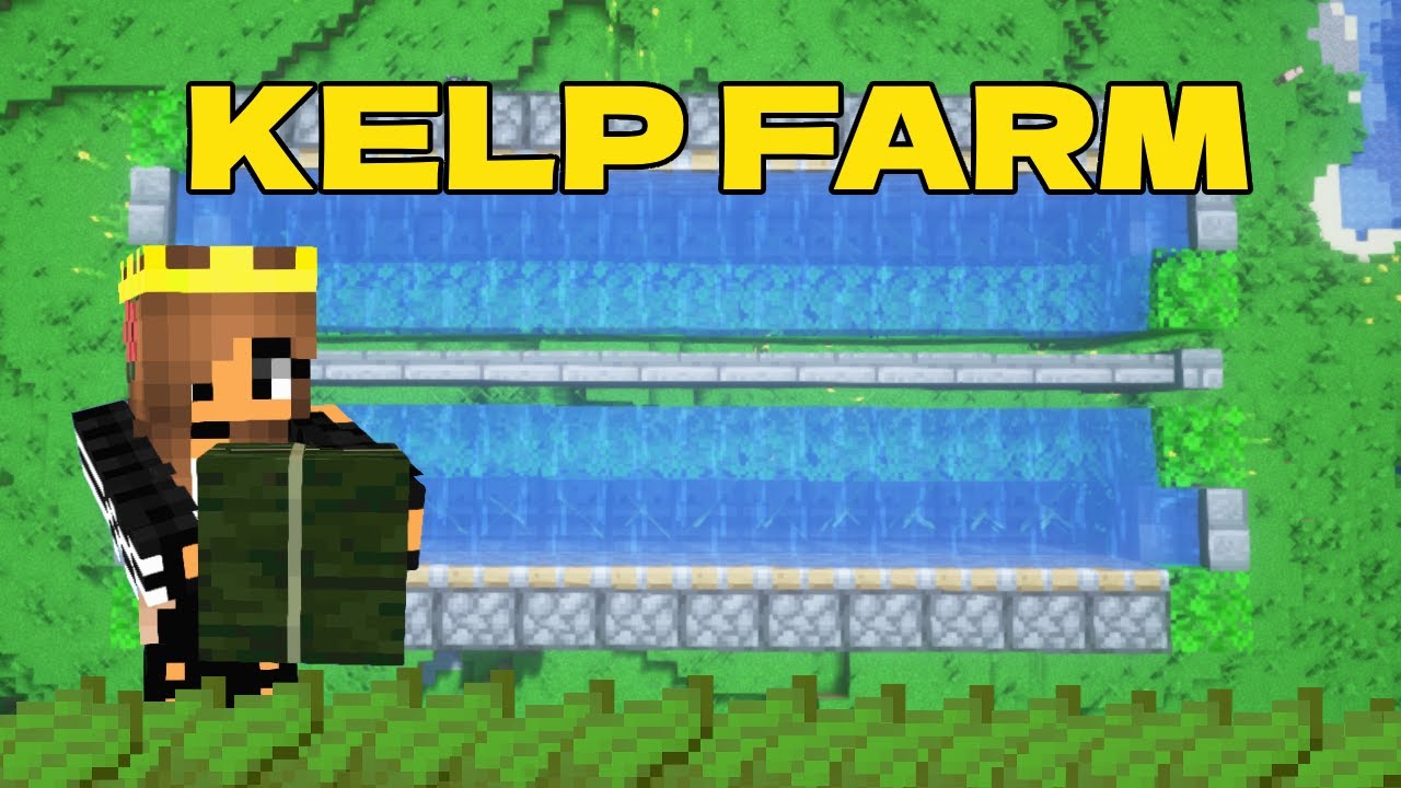 Easiest Minecraft Kelp Farm – Build in 5 Minutes (for SMP) - YouTube