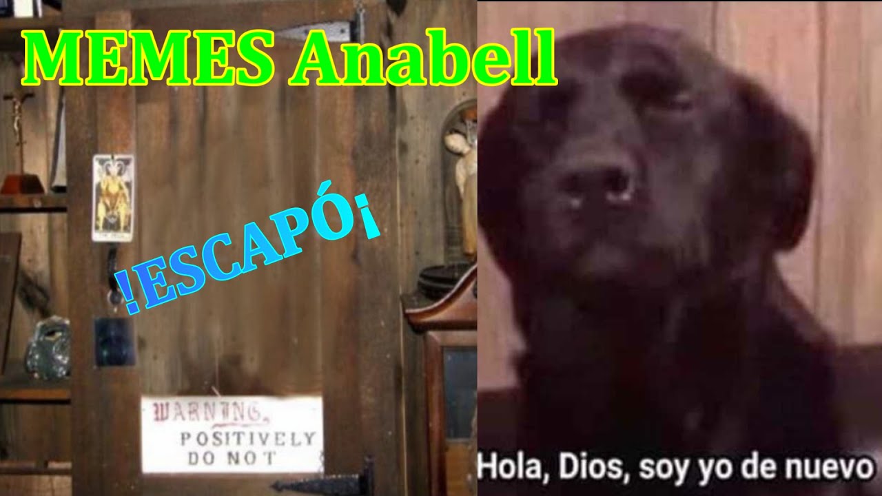 Memes del escape de Annabell- Epic memes- Anabell se escapa del museo ...