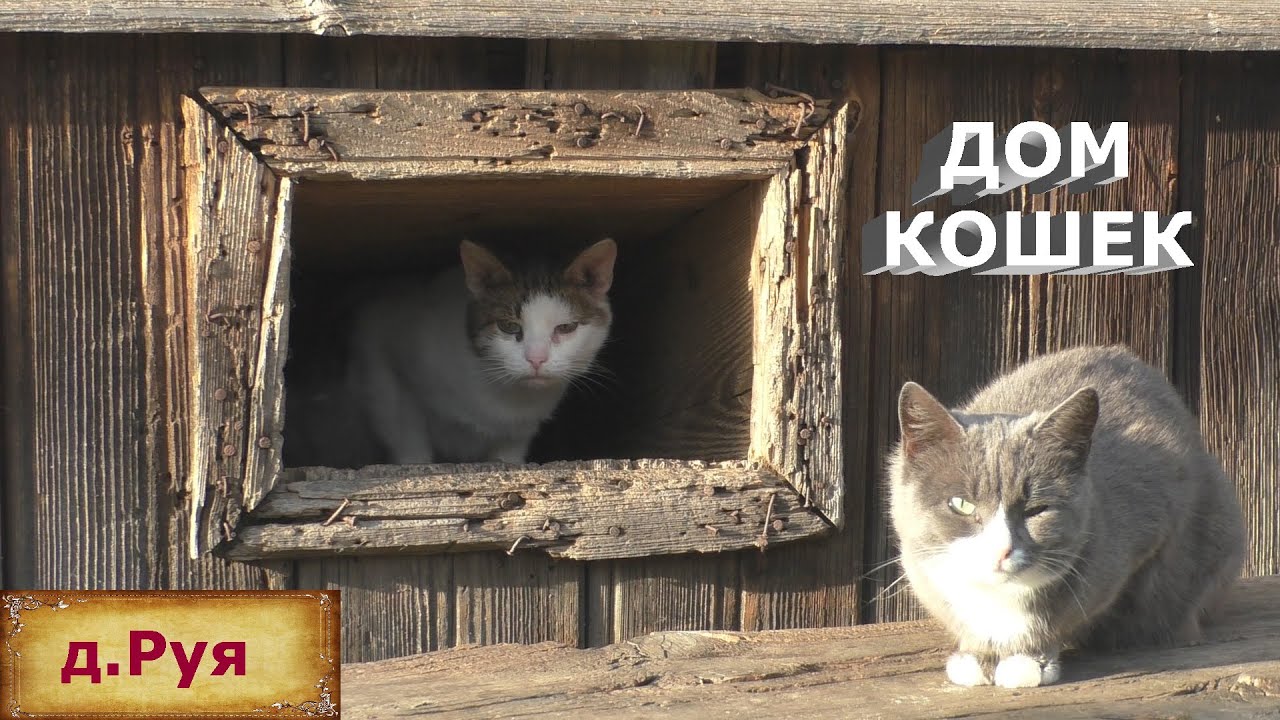 Деревня маленьких домов Дом кошек Дед последний житель в деревне В