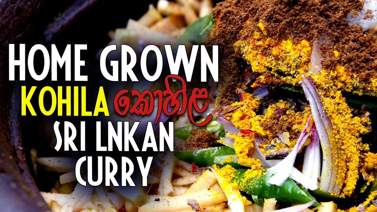 How to cook kohila Ala | Sri Lankan Village cooking | athgune | කොහිළ ...