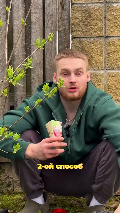 Мощное средство от вредителей, которое есть на каждой кухне! Без вреда ...