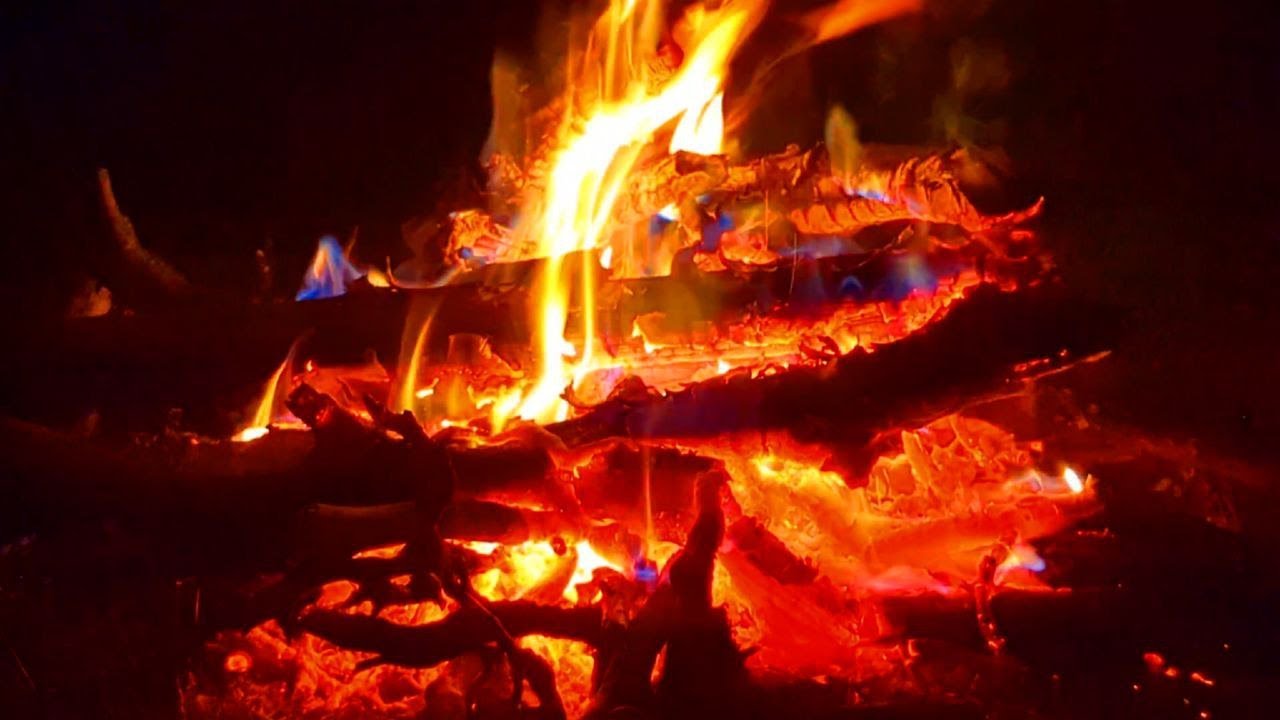 Amazing Campfire. Fire. Flame. Sounds of Nature. ASMR. Outdoors. Wild ...