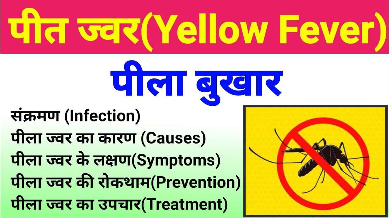 Yellow Fever Signs And Symptoms Lower Dose Yellow Fever Vaccine As