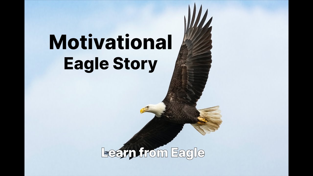 Motivational Eagle Story - YouTube