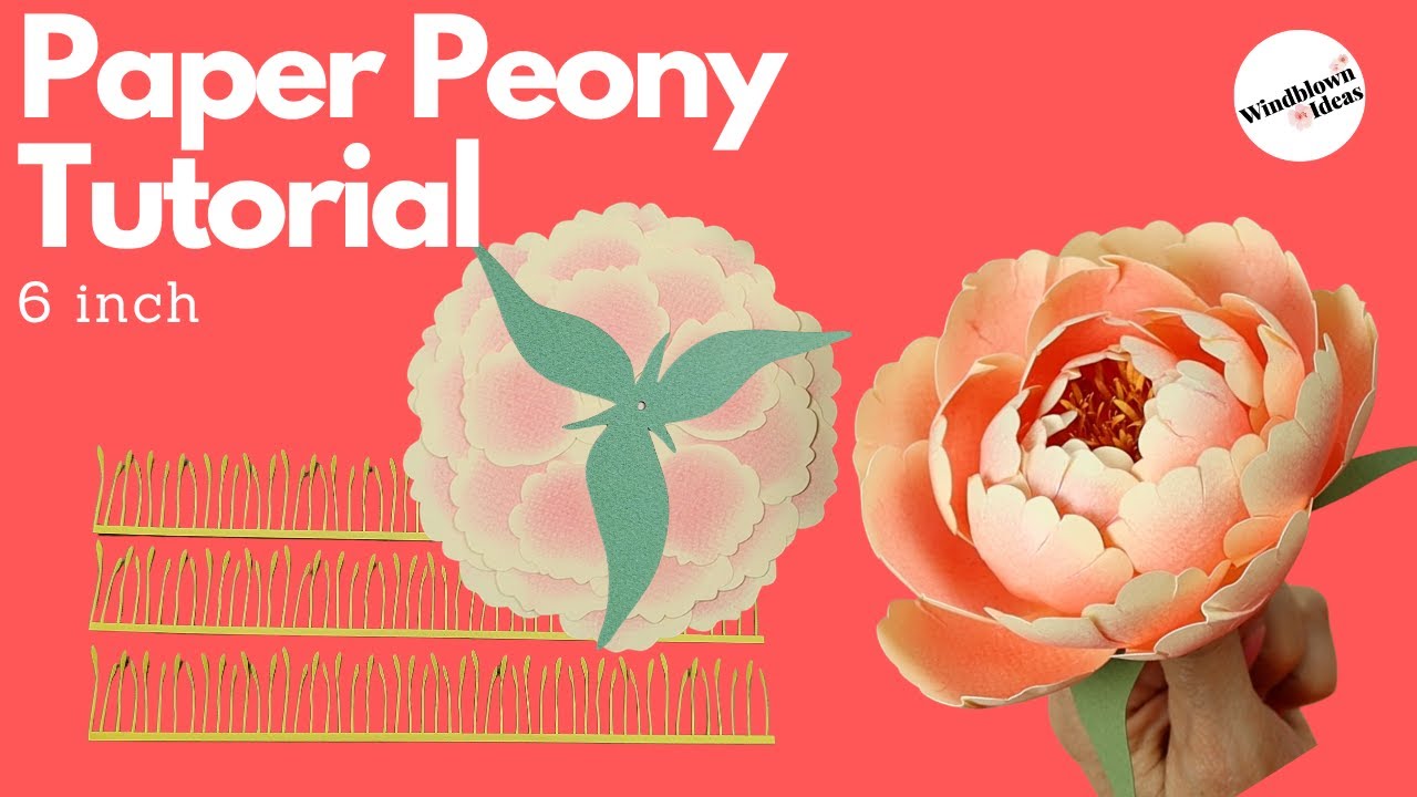 Paper Peony Flower Tutorial - 6" Ball Peony - YouTube