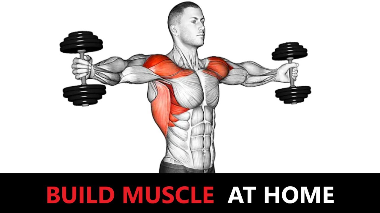 DUMBBELL EXERCISES FOR BUILDING MUSCLE AT HOME - YouTube
