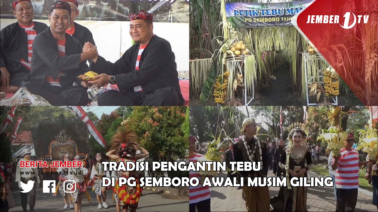 TRADISI PENGANTIN TEBU DI PG SEMBORO AWALI MUSIM GILING - YouTube