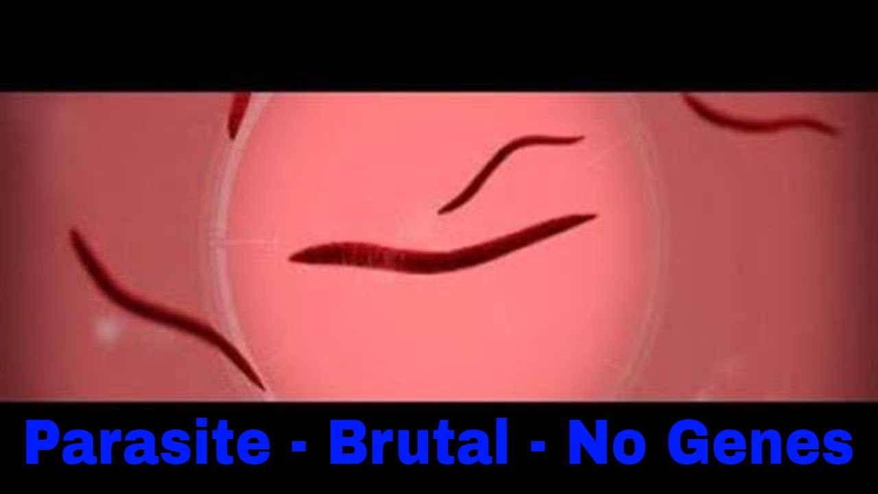Plague Inc : How to Beat Parasite on Brutal Difficulty No Genes - YouTube