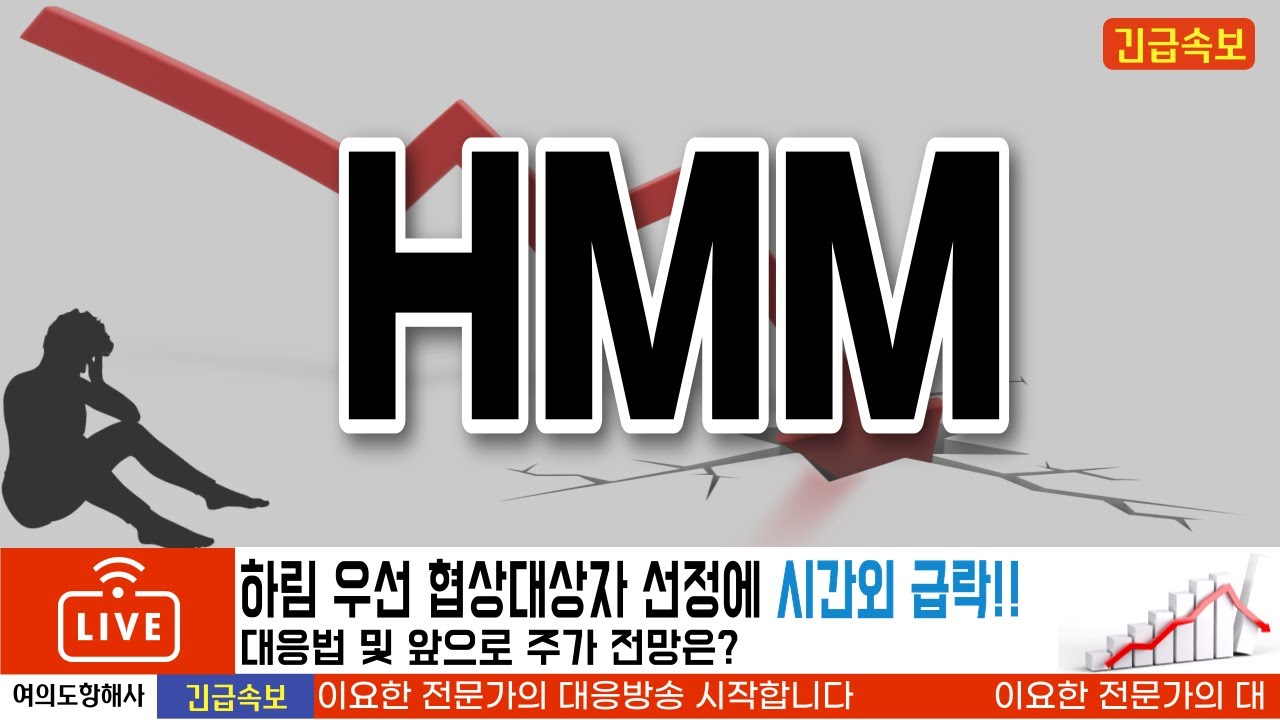 [HMM] 하림 협상 우선대상자 선정에 시간외 급락!! 대응법 및 앞으로 주가 전망은? - YouTube