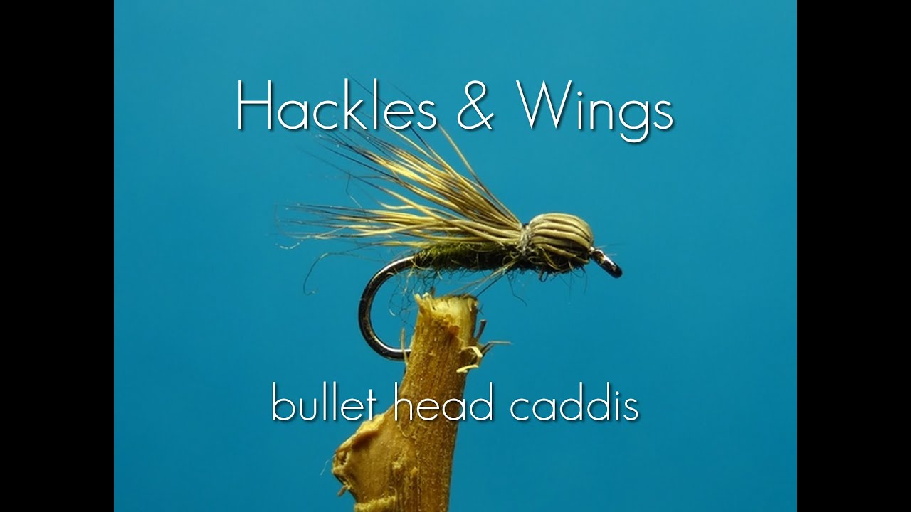 Fly Tying Bullet Head Caddis - YouTube