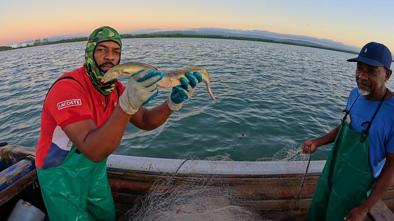 CREATURE CAUGHT LESS THAN A MILE OUT WHILE NET FISHING!!! #adventure # ...