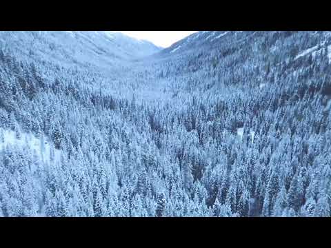 🍁Winter Sunrise🌞 Whatsapp status🌿 | Nature  🌴WhatsApp status ☔| WhatsApp status ; Morning