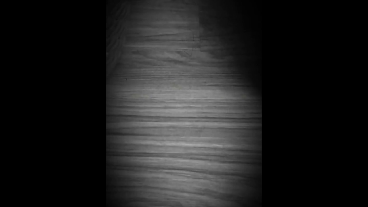 Apple core Baltimore Suck My Dick Boujee Badahss - YouTube