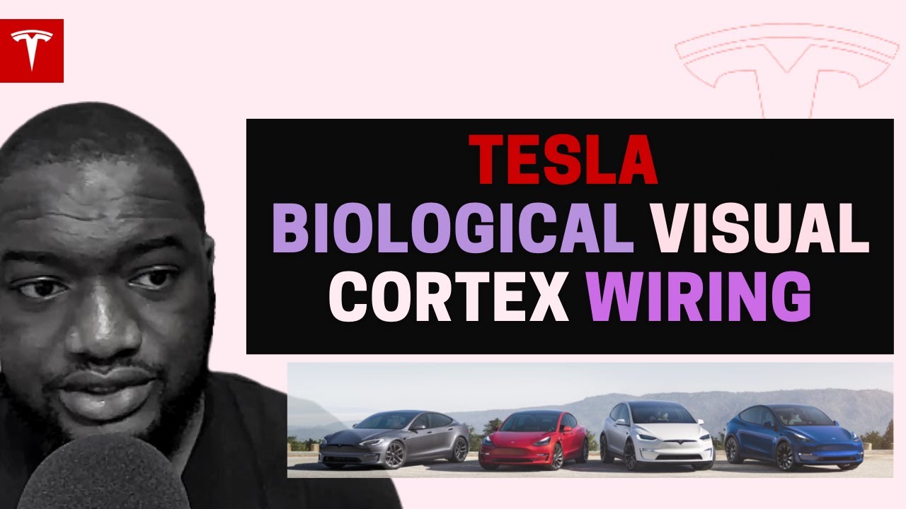 Tesla | Biological Visual Cortex Wiring | Tesla Ai Day Explained #Tesla ...