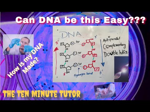 How to Understand DNA in 10 minutes?| Can DNA be this simple to ...
