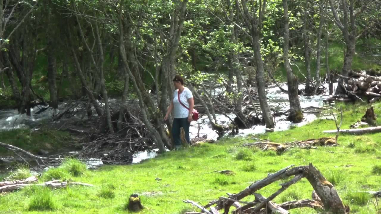 Norwegen - Sognefjord - Fresvik - YouTube