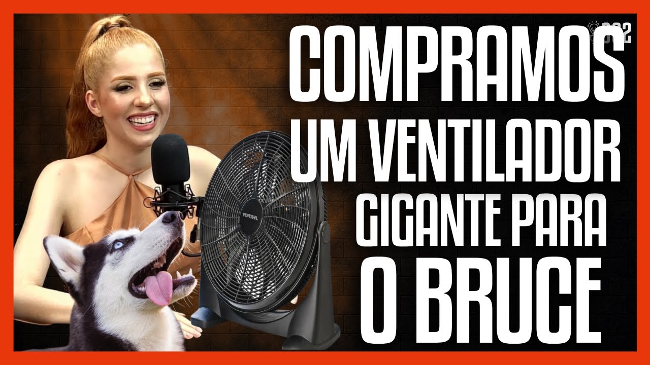 HUSKY SIBERIANO SOFRE NO CALOR? - YouTube