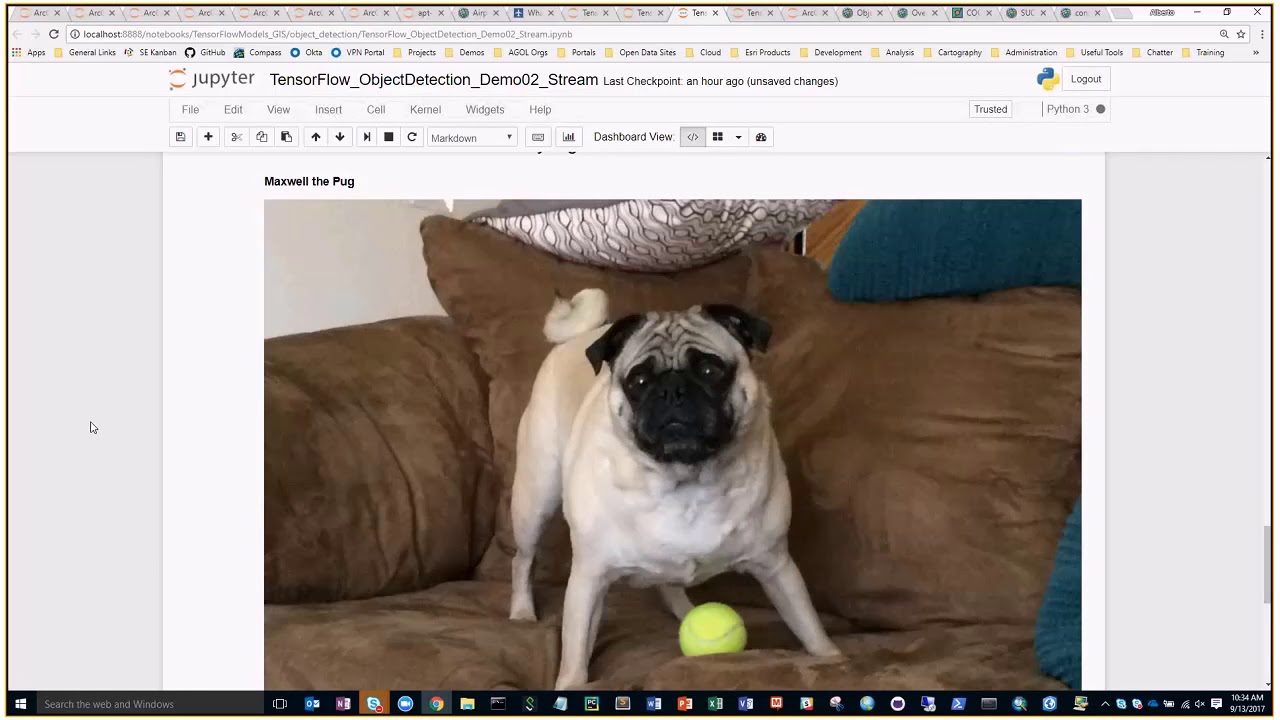 Object Detection with TensorFlow and the ArcGIS API for Python - YouTube