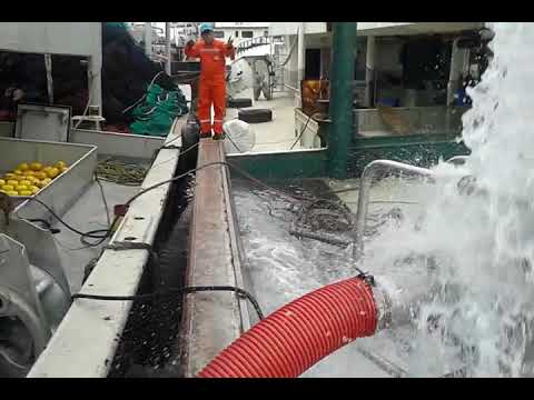 Visvriendelijke vispomp (Fish friendly pump) - YouTube