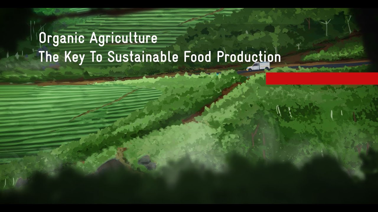 Organic Agriculture -The Key To Sustainable Food Production - YouTube
