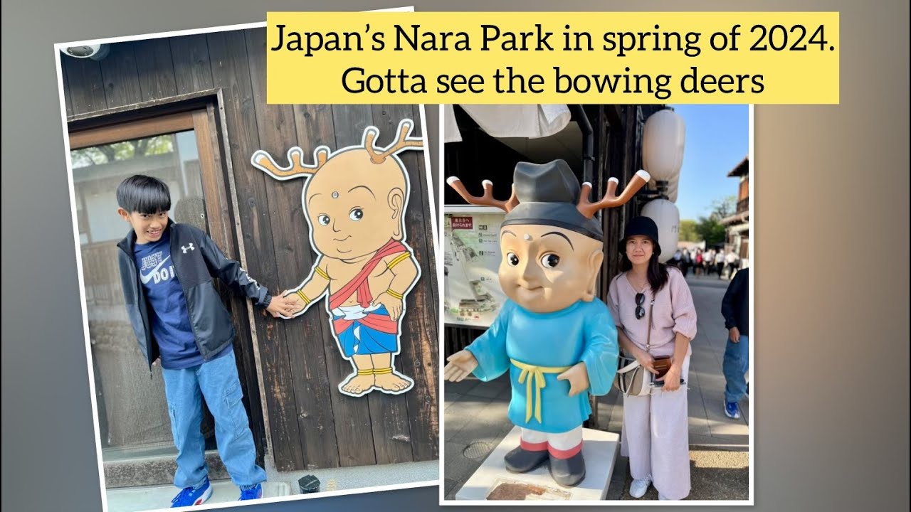 Japan's Nara Deer Park in Spring - YouTube