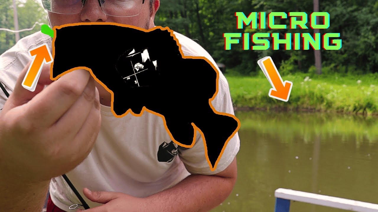 MICRO FISHING my friend's BACKYARD POND!! (Fish Every Cast) - YouTube