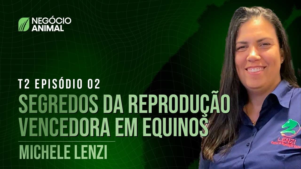 Genética equina vencedora em SC: descubra os segredos do sucesso da ...