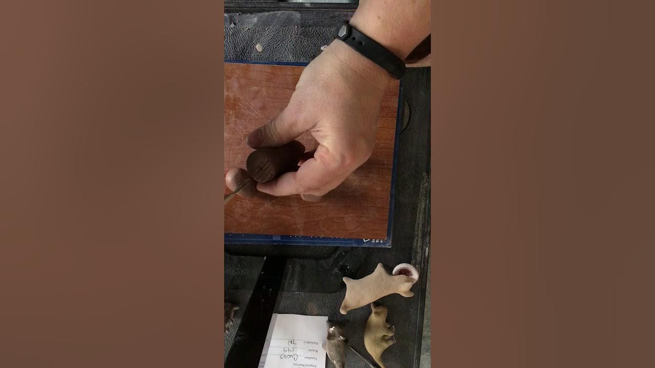 How to score and slip - YouTube