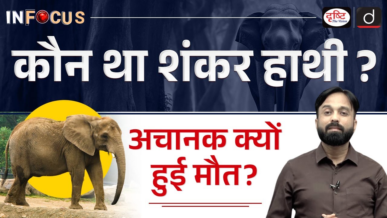 African Elephant Shankar Dies | Rare EMCV Virus at Delhi Zoo | InFocus ...