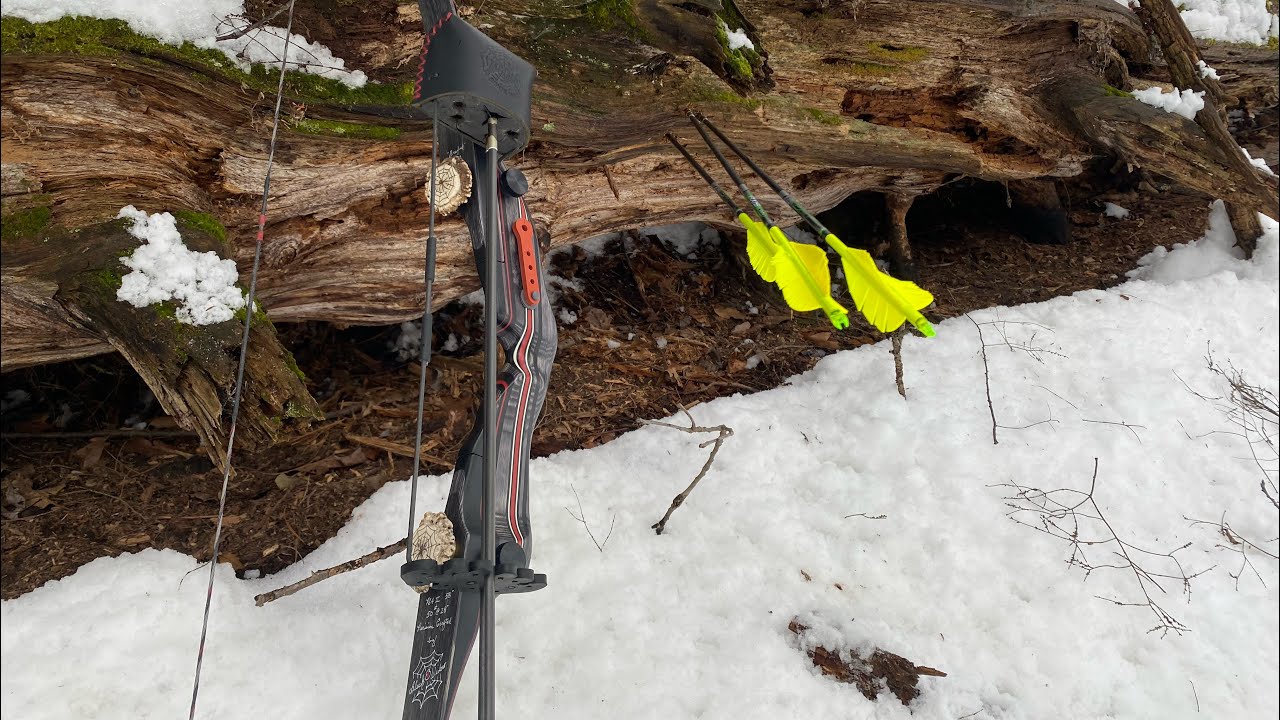 Stump Shooting in Fresh Snow | Road to New Brunswick | Traditional ...