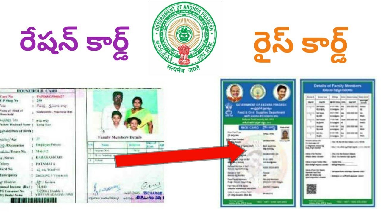 How to download ration card | how to download rice card - YouTube