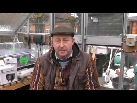 (72) Pam Kemp, akaThe Seed Fairy Strikes Again! #gardendisasters - YouTube