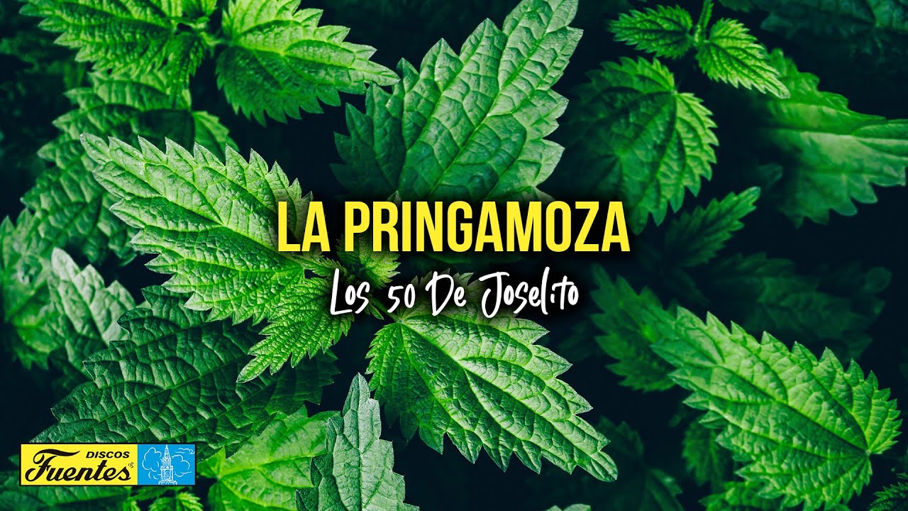 La Pringamoza- Los 50 de Joselito (Video Letra) | Discos Fuentes - YouTube