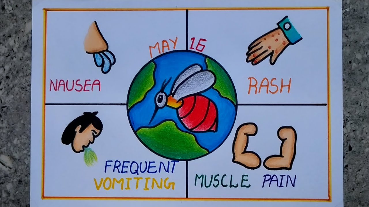 National Dengue day||Symptoms ||May 16||Easy poster drawing for ...