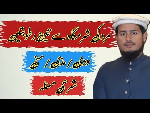 Mard ki Sharamgah say Nikalnay Wali 3 Ratobatain | Wadi Mazi Mani or ...