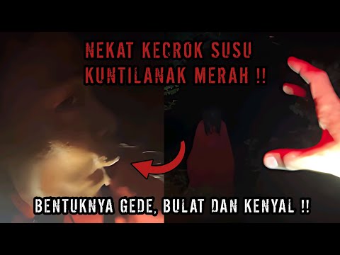 TERNYATA SEPERTI INI BENTUK SUSU KUNTILANAK MERAH‼️