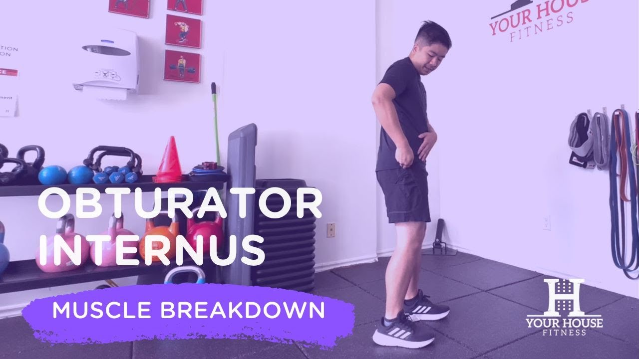 Learn How the Obturator Internus Muscle Provides Stabilization in the ...