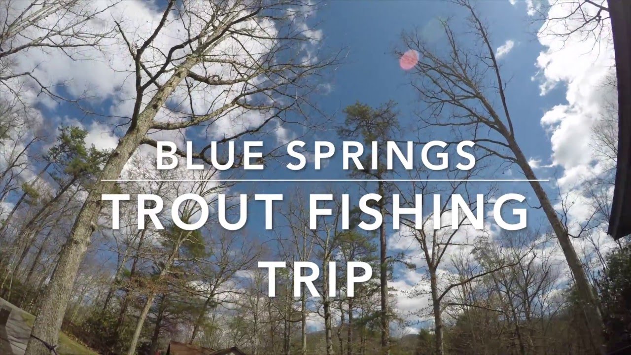 Blue Springs Fishing Trip - YouTube