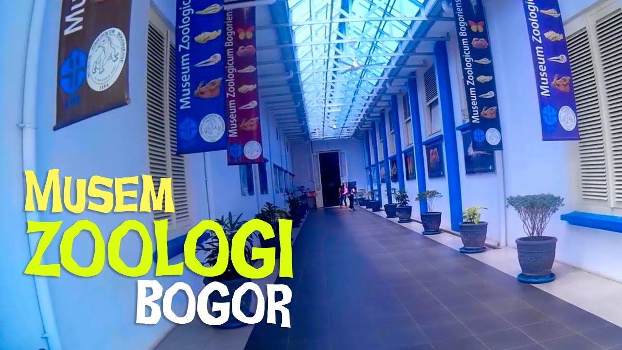 Museum Zoologi Bogor - YouTube