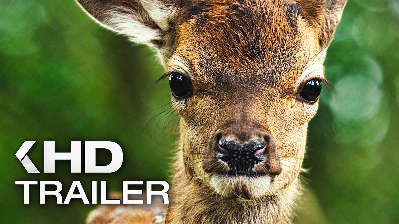 BAMBI: Eine Lebensgeschichte aus dem Walde Trailer German Deutsch (2025) Exklusiv - YouTube