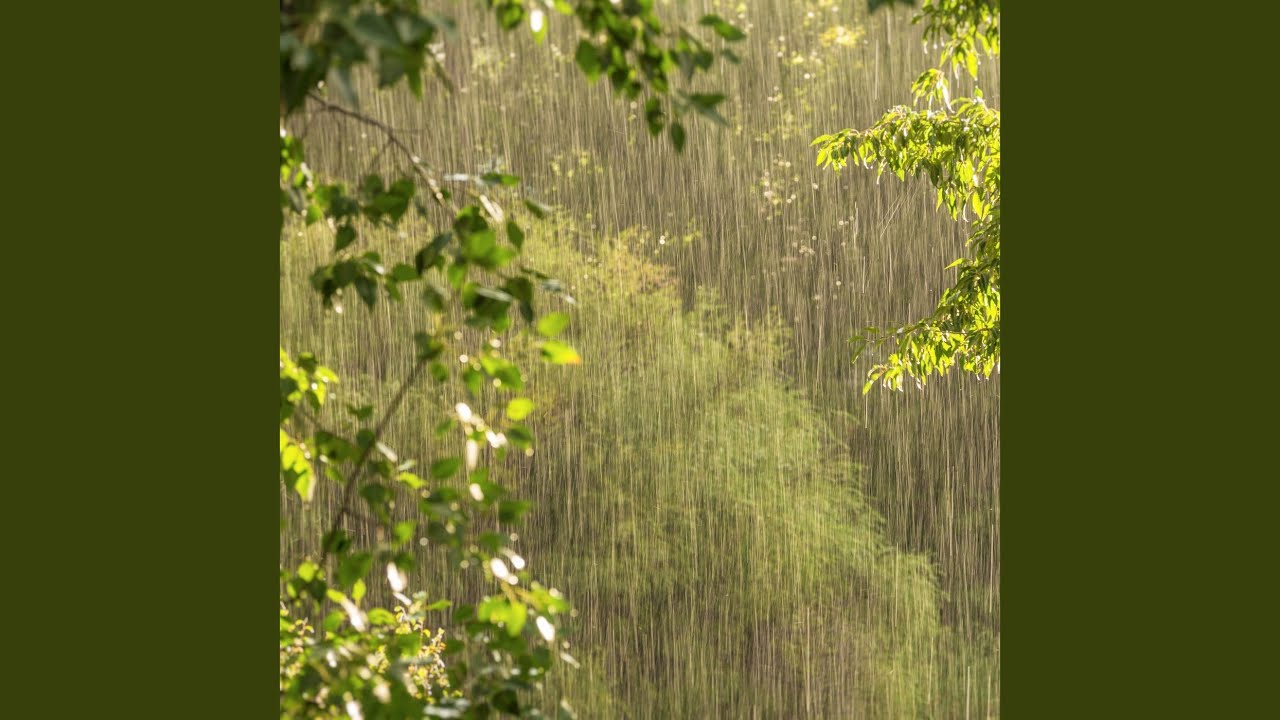 Strömender Regen - YouTube
