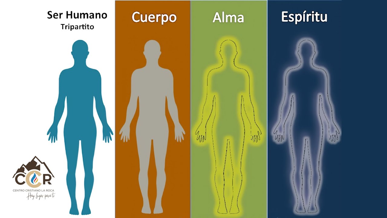 El ser humano tripartito - YouTube