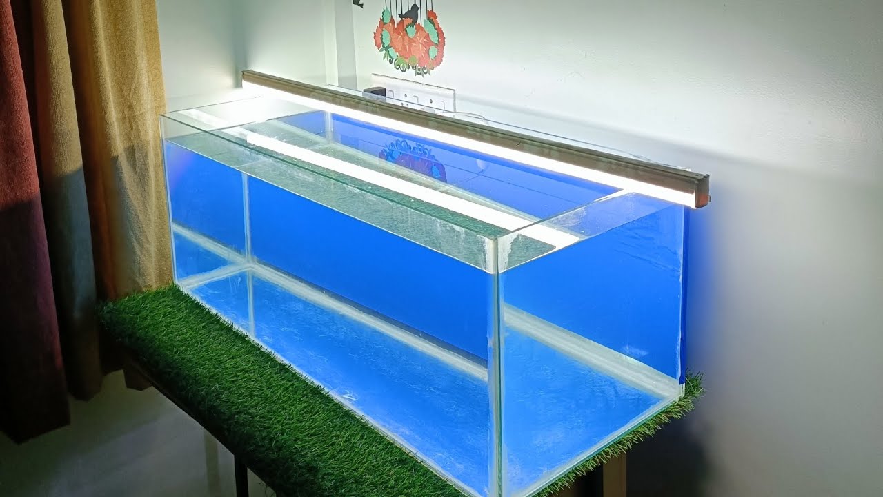 3 Feet aquarium | Oscar 3 feet tank | - YouTube