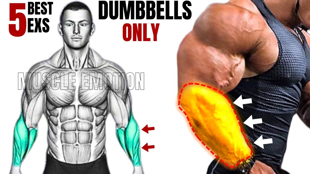 5 BEST Exercises for Bigger Forearms with dumbbells only at home or at ...